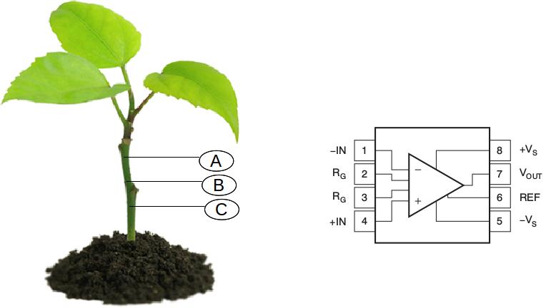 Recording Plant bio-signals - Amplifiers forum - Amplifiers - TI E2E ...